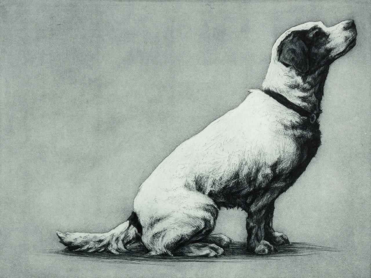 Helen Fay, Masie, 2016 | Thompson's Gallery