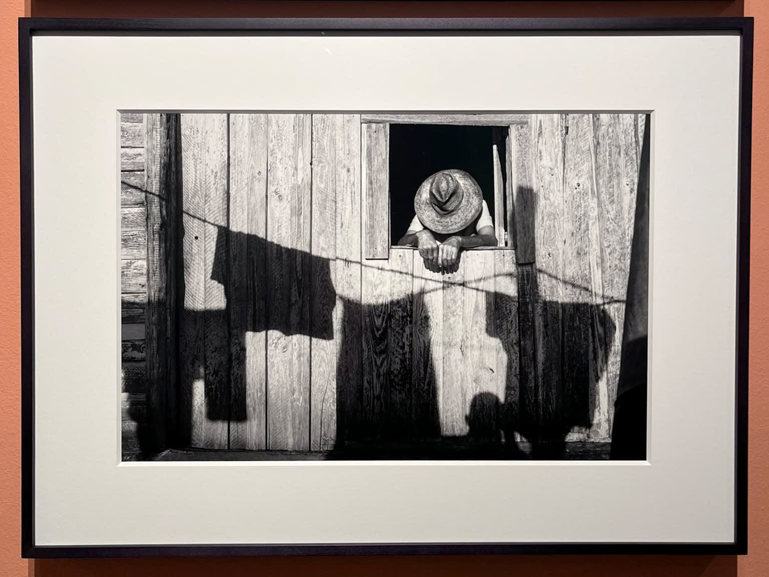 Raúl Cañibano, Viñales, 2013 | Print Sales Gallery | The Photographers ...