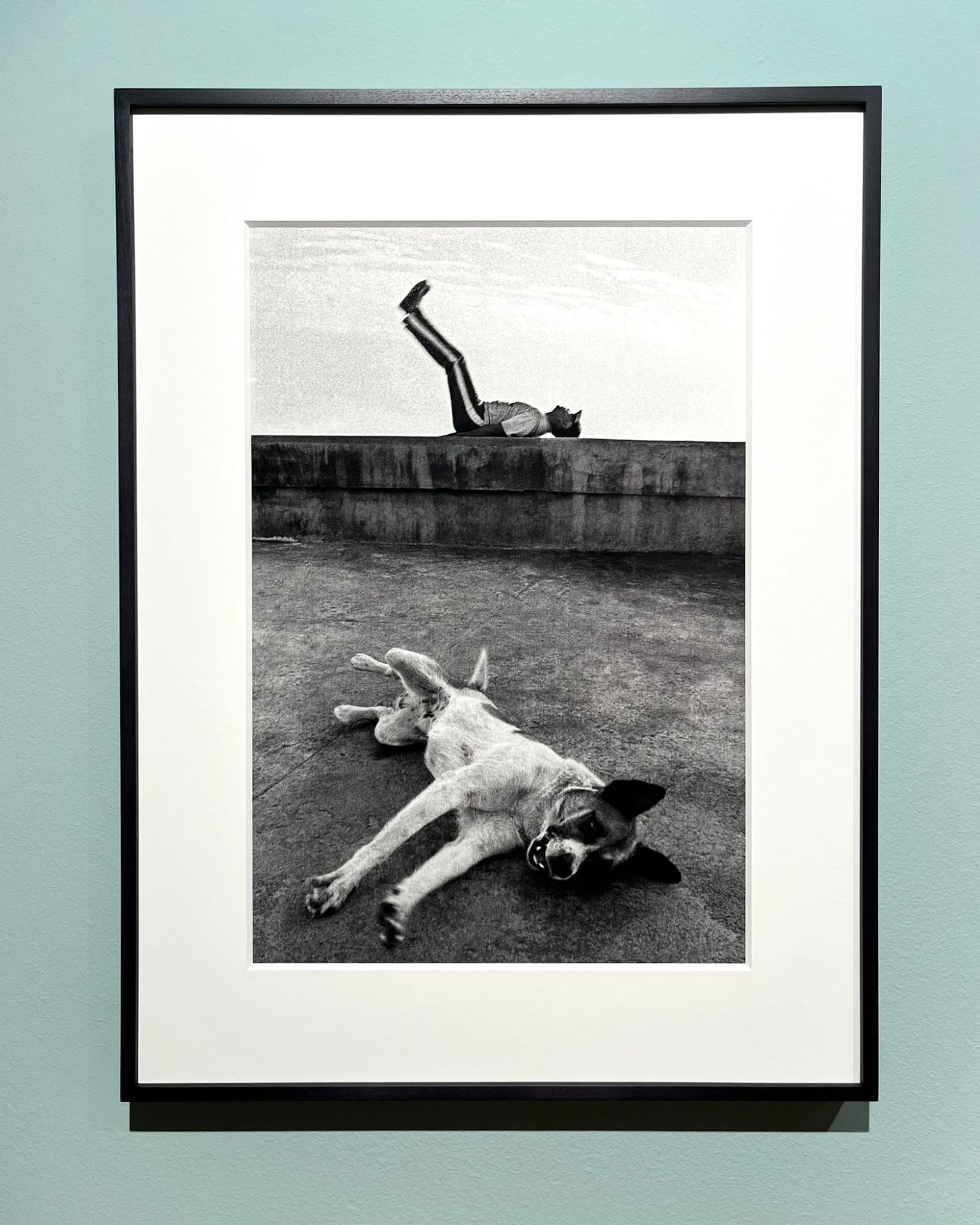 Raúl Cañibano, Malecón, Habana, 2003 | Print Sales Gallery | The ...