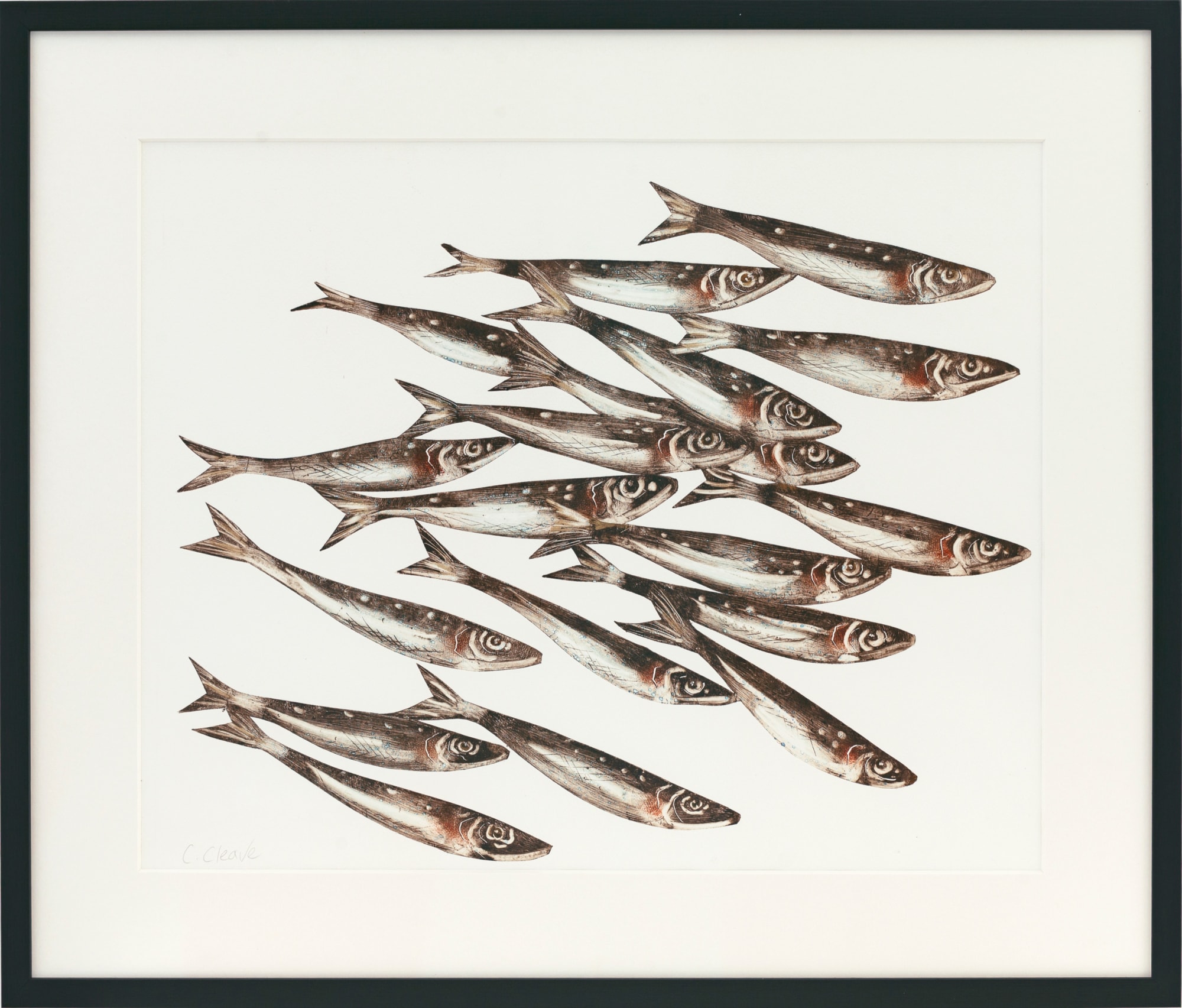 Caroline Cleave, Shoal (Pilchards) | Whitewater Contemporary