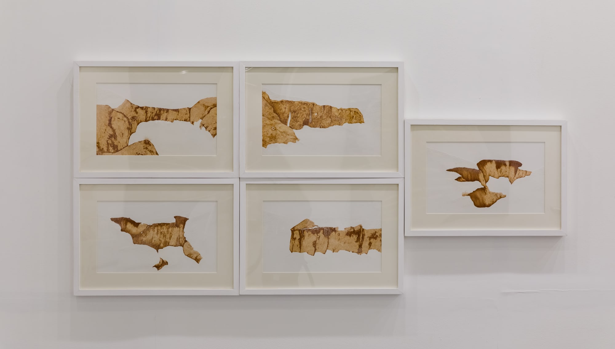 Ghana Shyam Latua - Installation Shots | Emami Art