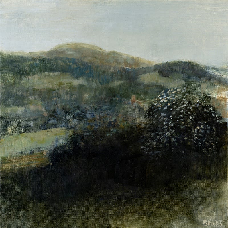Bridget Macdonald, The Worcester Beacon in June | Campden Gallery