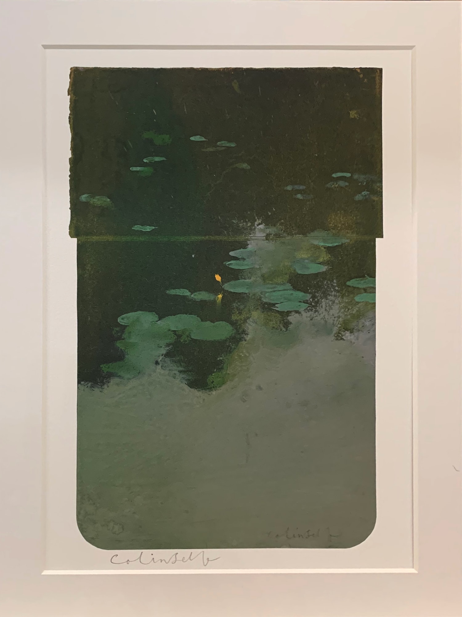 Colin Self, Waterlillies in Brundall, 2022 | Contemporary and Country
