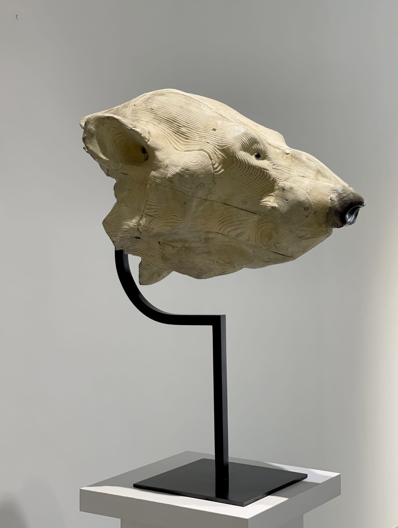 Quentin Garel, Ursus, 2020 | Cuturi Gallery