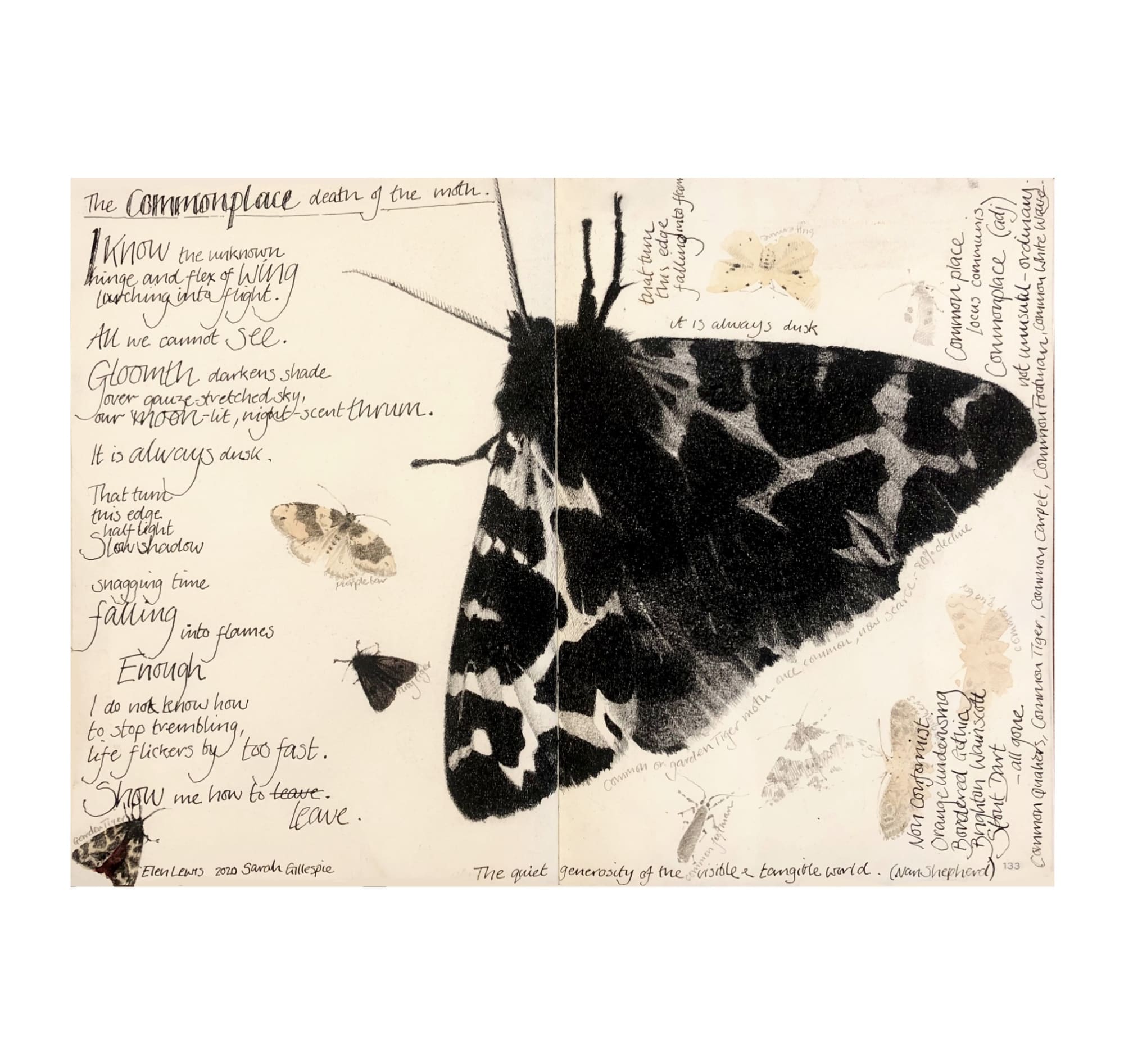 Sarah Gillespie, The Commonplace Death of the Moth, 2020 | Eames Fine Art