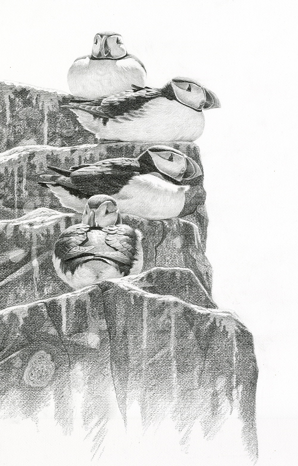 Works - Chris Rose | Rountree Tryon