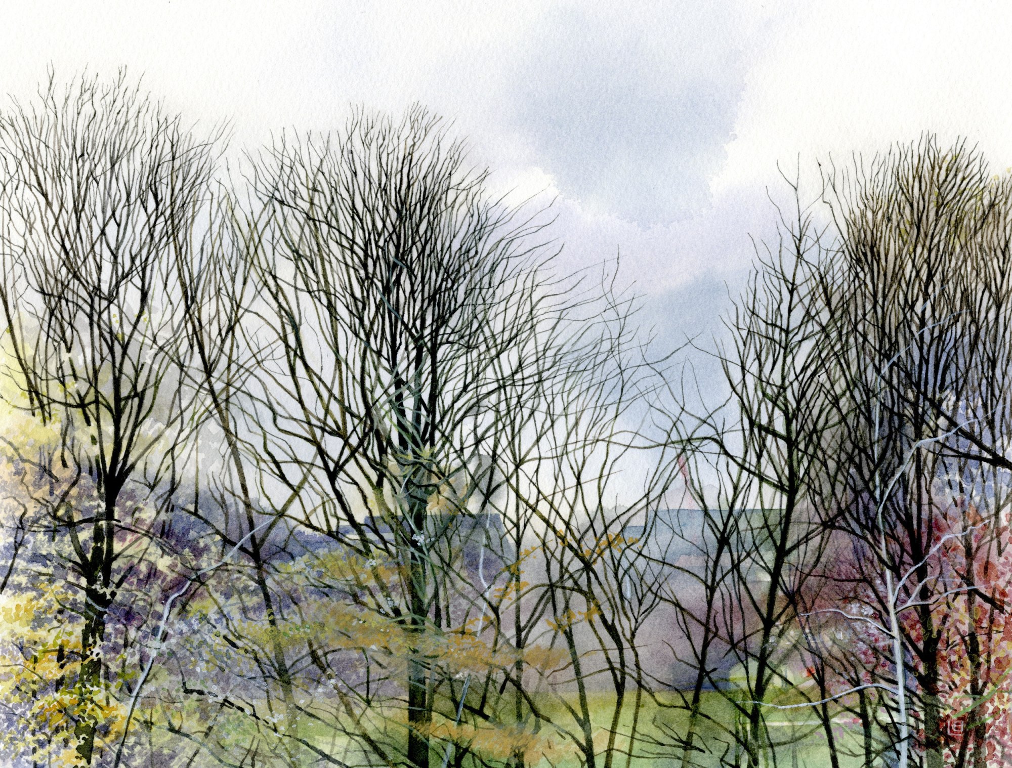 Liz Butler, The Park Trees in March | Royal Watercolour Society