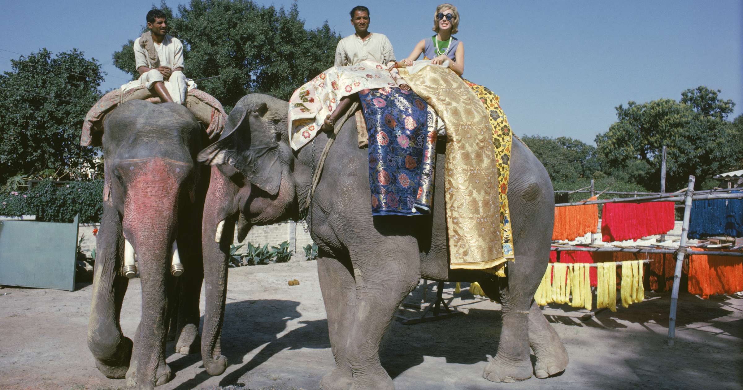 Mark Shaw, Tiger Morse in Blue on Elephant, 1962 - Artwork 29308 ...