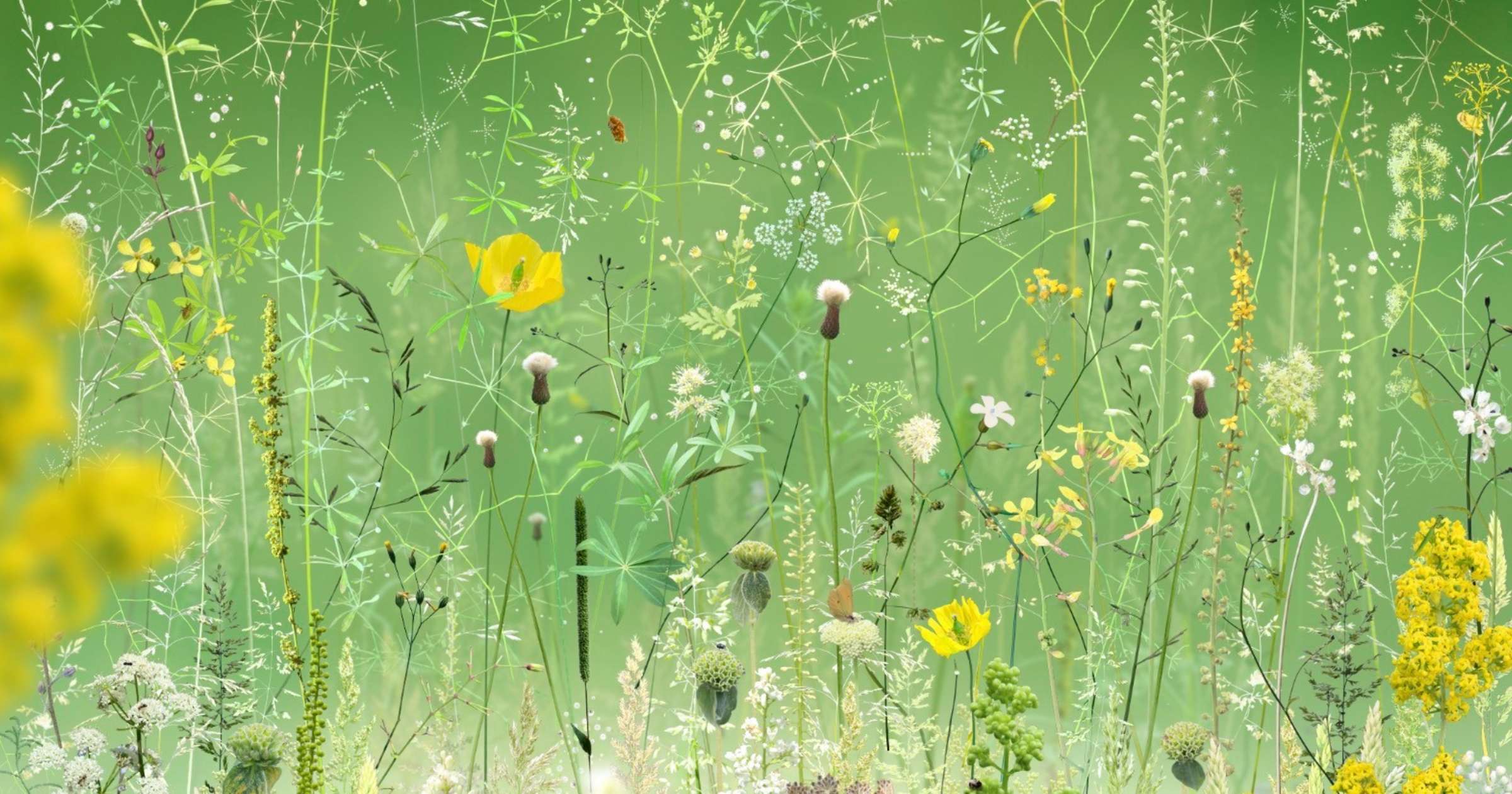 Ruud van Empel, Floresta #12, 2024 - Artwork 51682 | Jackson Fine Art