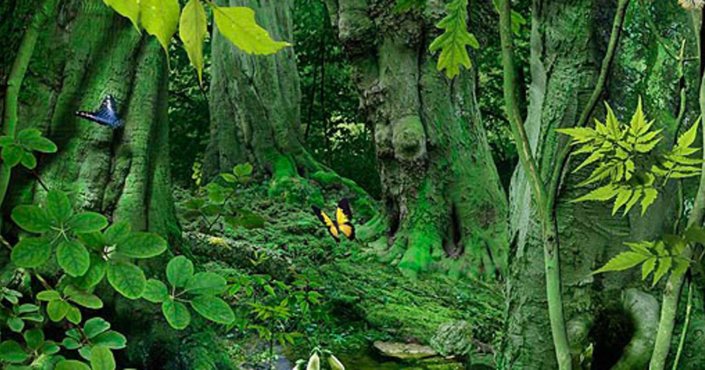 Ruud van Empel, Theatre #2, 2010 - Artwork 31790 | Jackson Fine Art