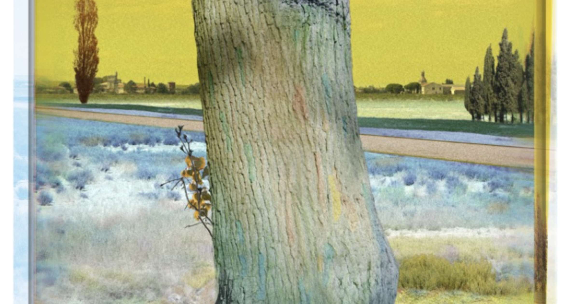 Ruud van Empel, Van Gogh #4, 2020 - Artwork 42075 | Jackson Fine Art