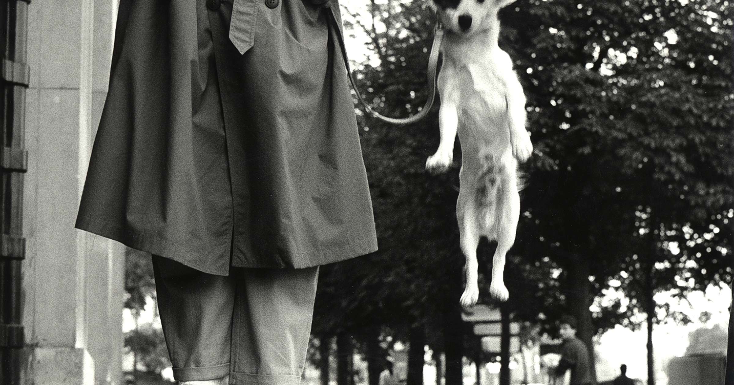 Elliott Erwitt, Paris, France (Dog Jumping), 1989 - Artwork 27813 ...