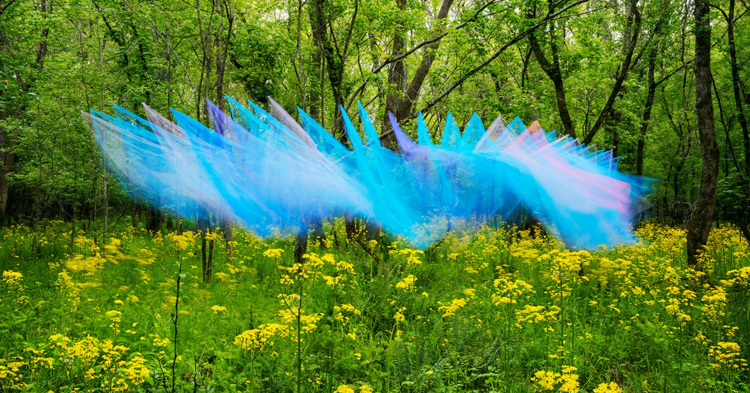 Thomas Jackson, Tulle no. 51 v.1, Serenbe, GA, 2023 - Artwork 47777 ...