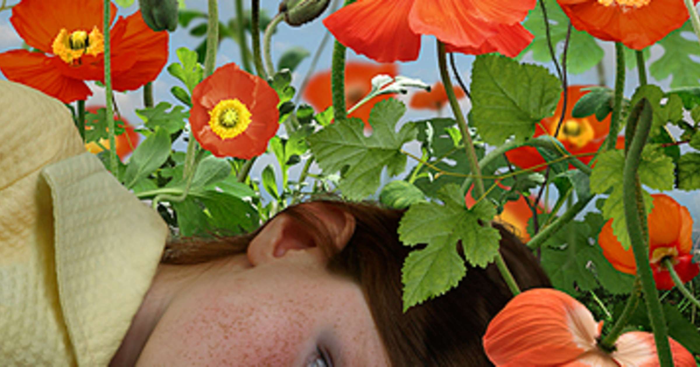 Ruud van Empel, Dawn #3, 2008 | Jackson Fine Art