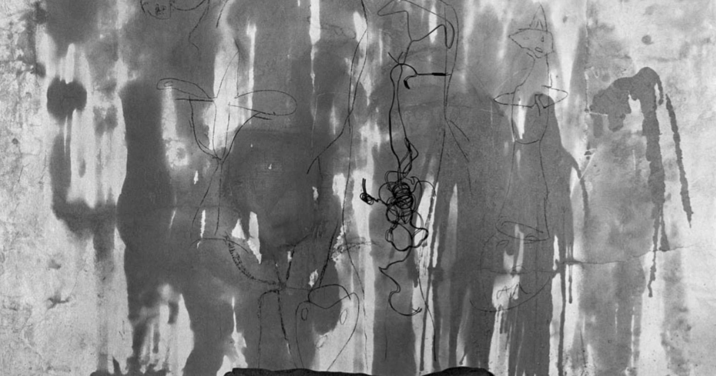 Roger Ballen, Wall of Shadows, 2003 - Artwork 47390 | Jackson Fine Art