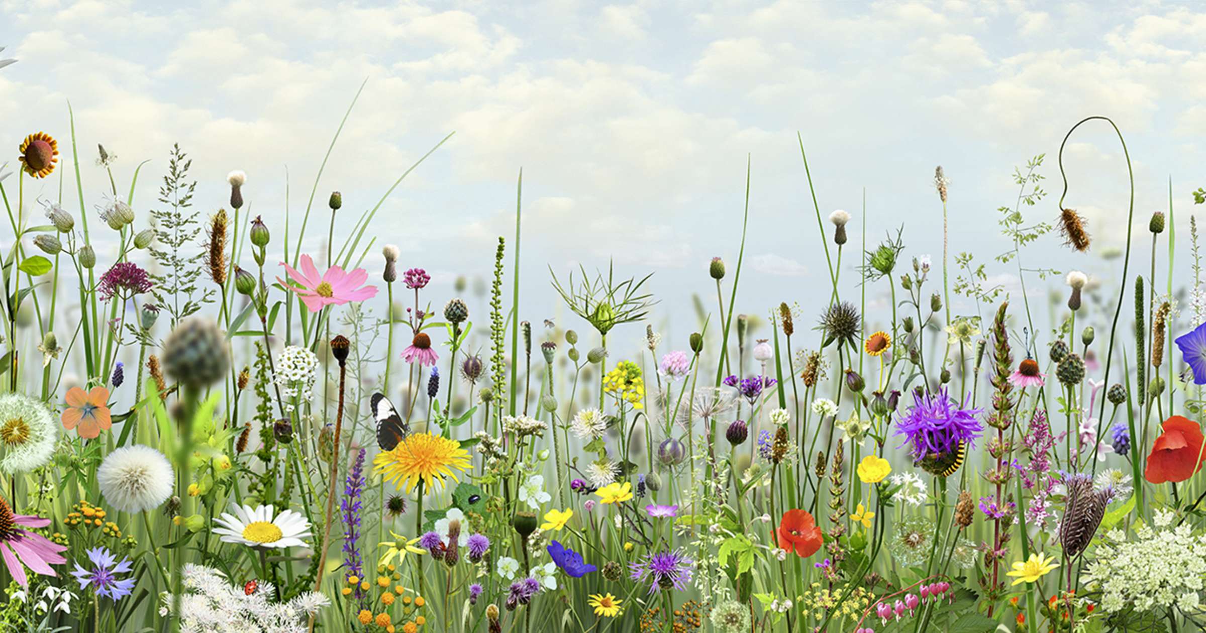 Ruud van Empel, Theatre #10, 2020 - Artwork 38583 | Jackson Fine Art