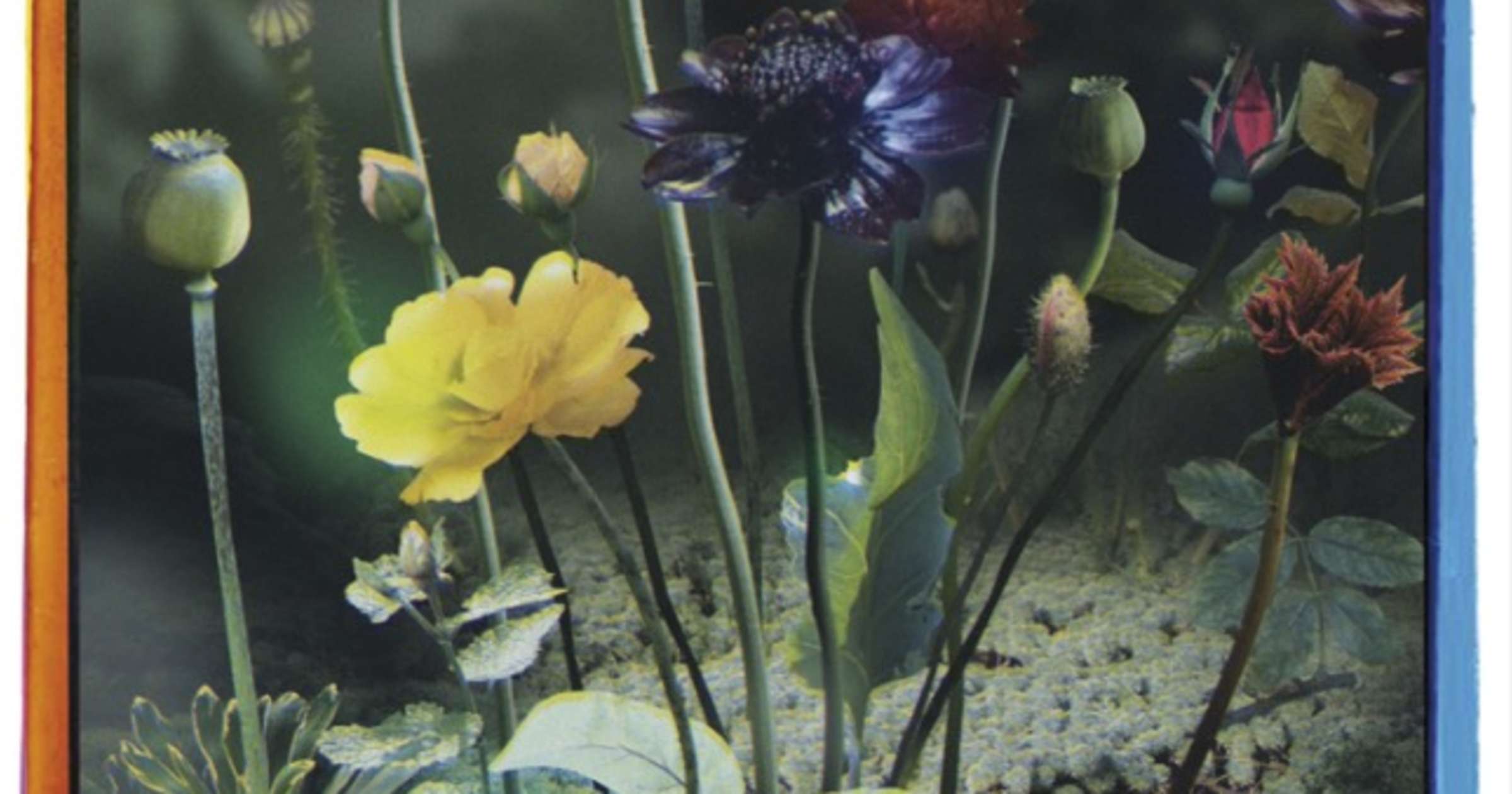 Ruud van Empel, Van Gogh #7, 2020 - Artwork 42086 | Jackson Fine Art