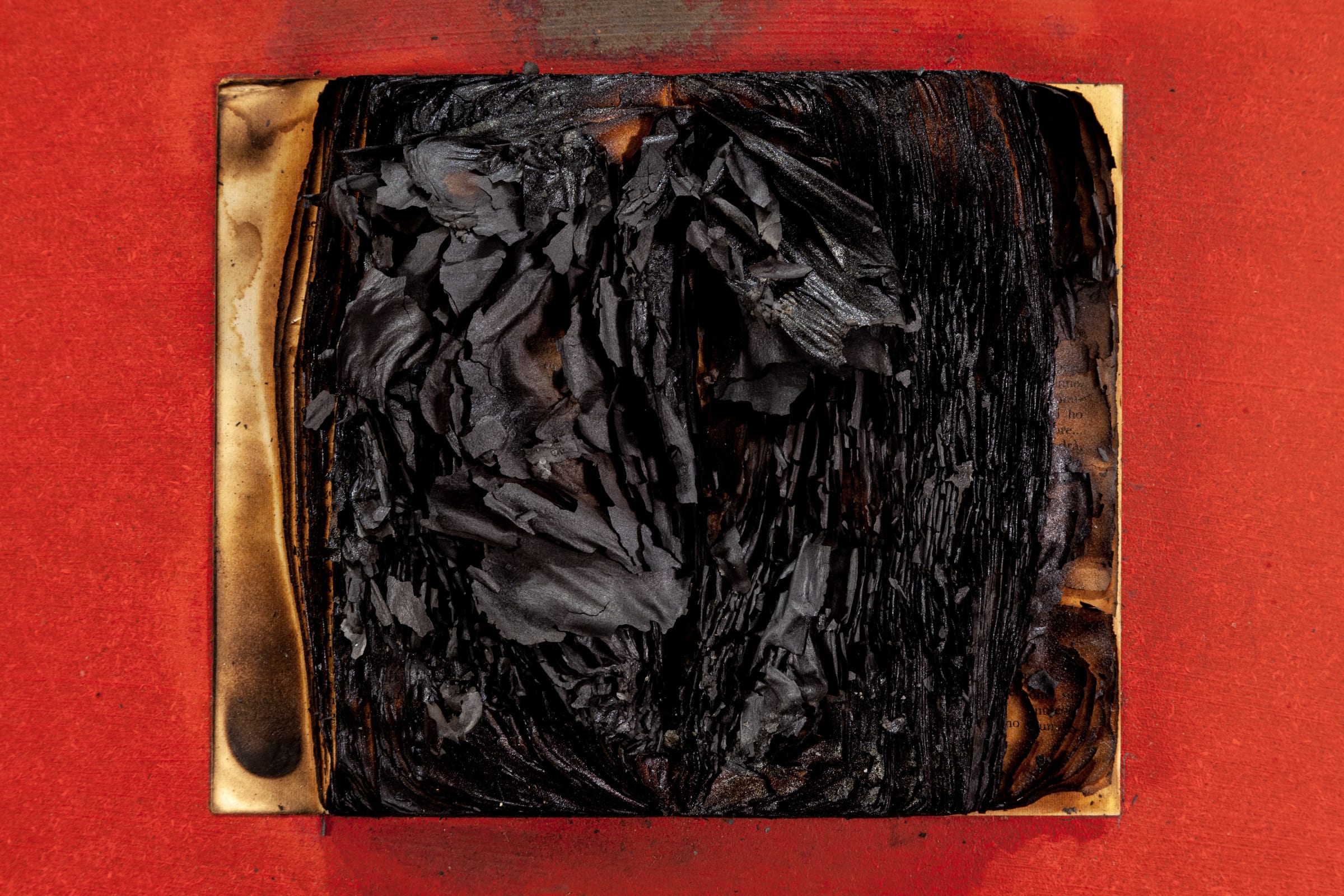 Bernard Aubertin Works | ABC ARTE