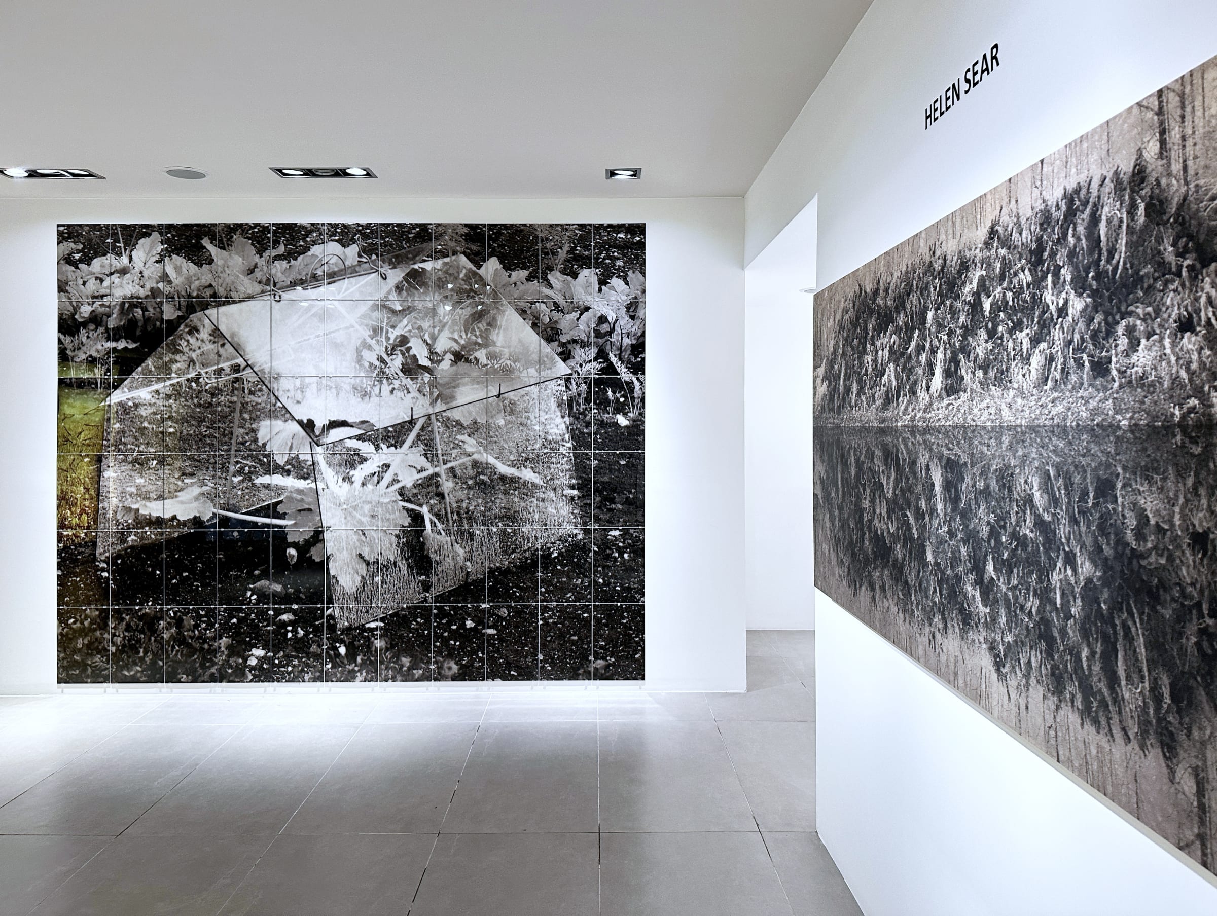 Helen Sear | 8 June - 24 September 2023 | CENTRE FOR BRITISH PHOTOGRAPHY