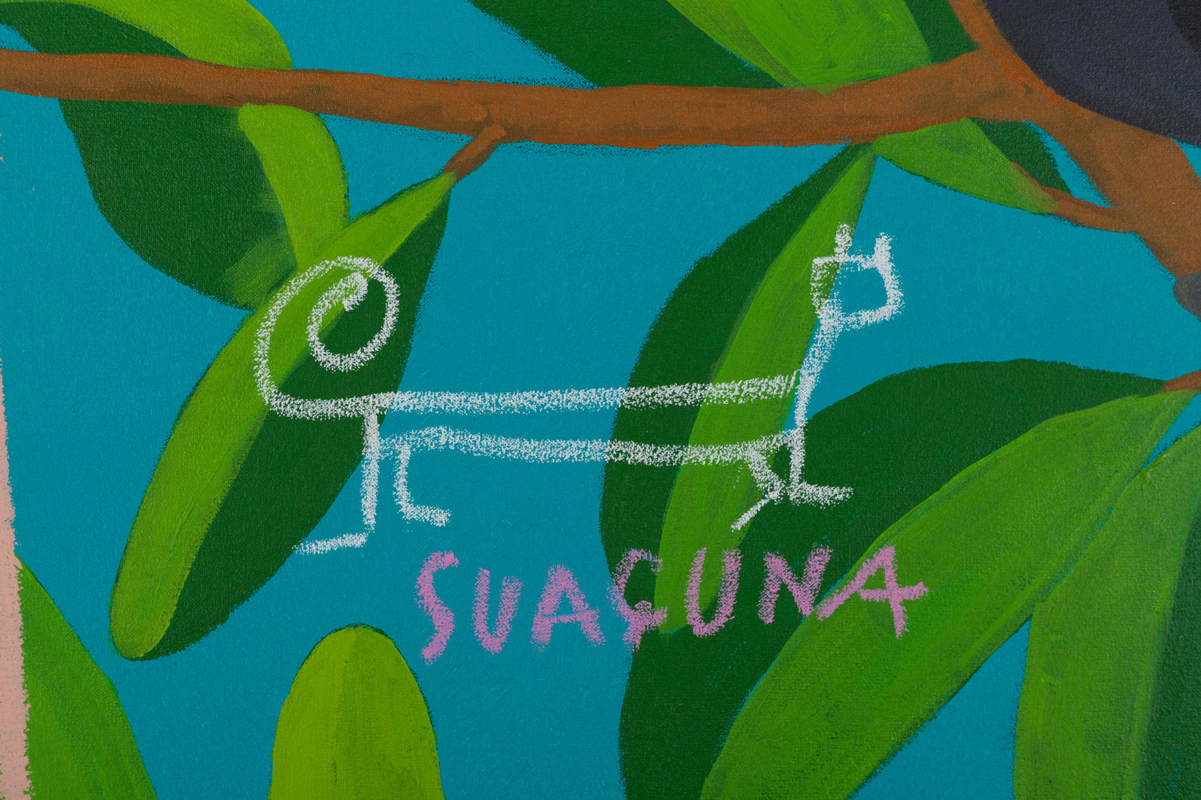 Denilson Baniwa, Araçary, 2024 | A Gentil Carioca