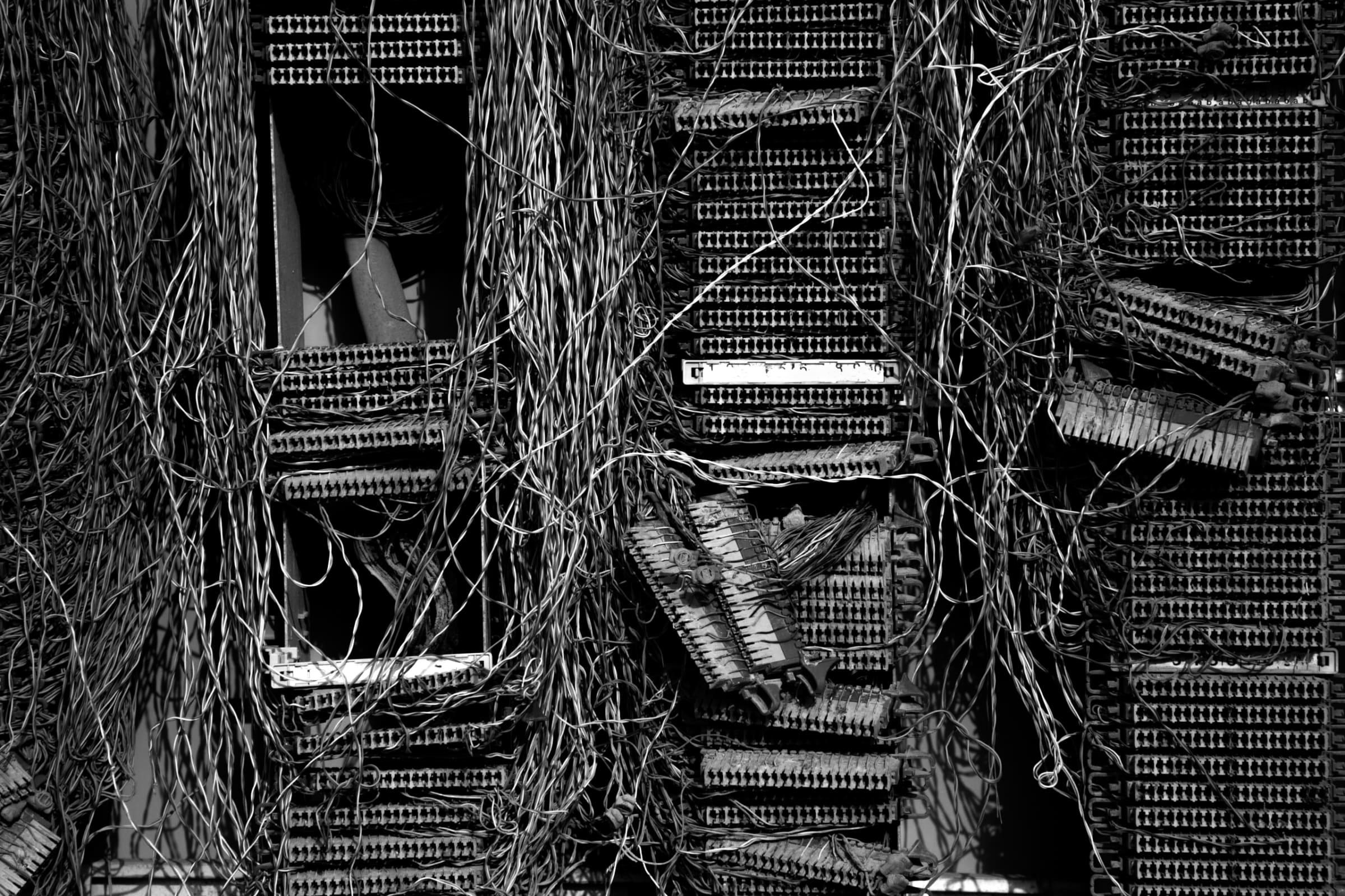 Ruqaya Al Hashmi, In Abu Dhabi, 2022 | Aisha Alabbar Gallery