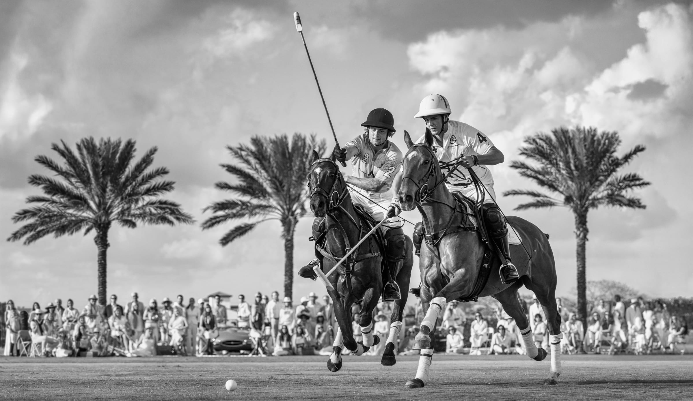 David Yarrow, Wellington | Relevant Galleries