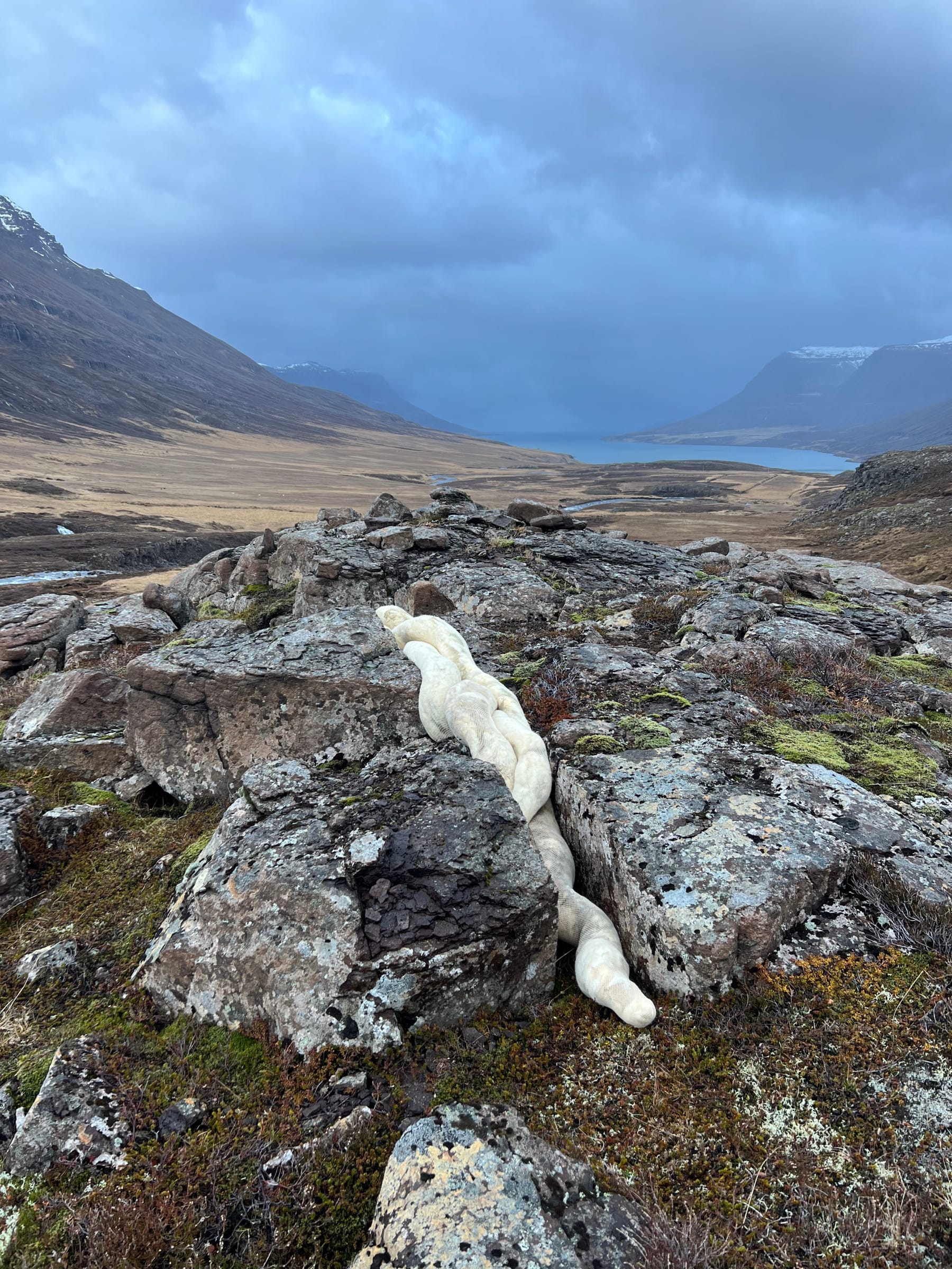 Nicola Turner, Myth and Miasma, installation in the Vestdalseyri Valley, Iceland, 2022 | Annely ...