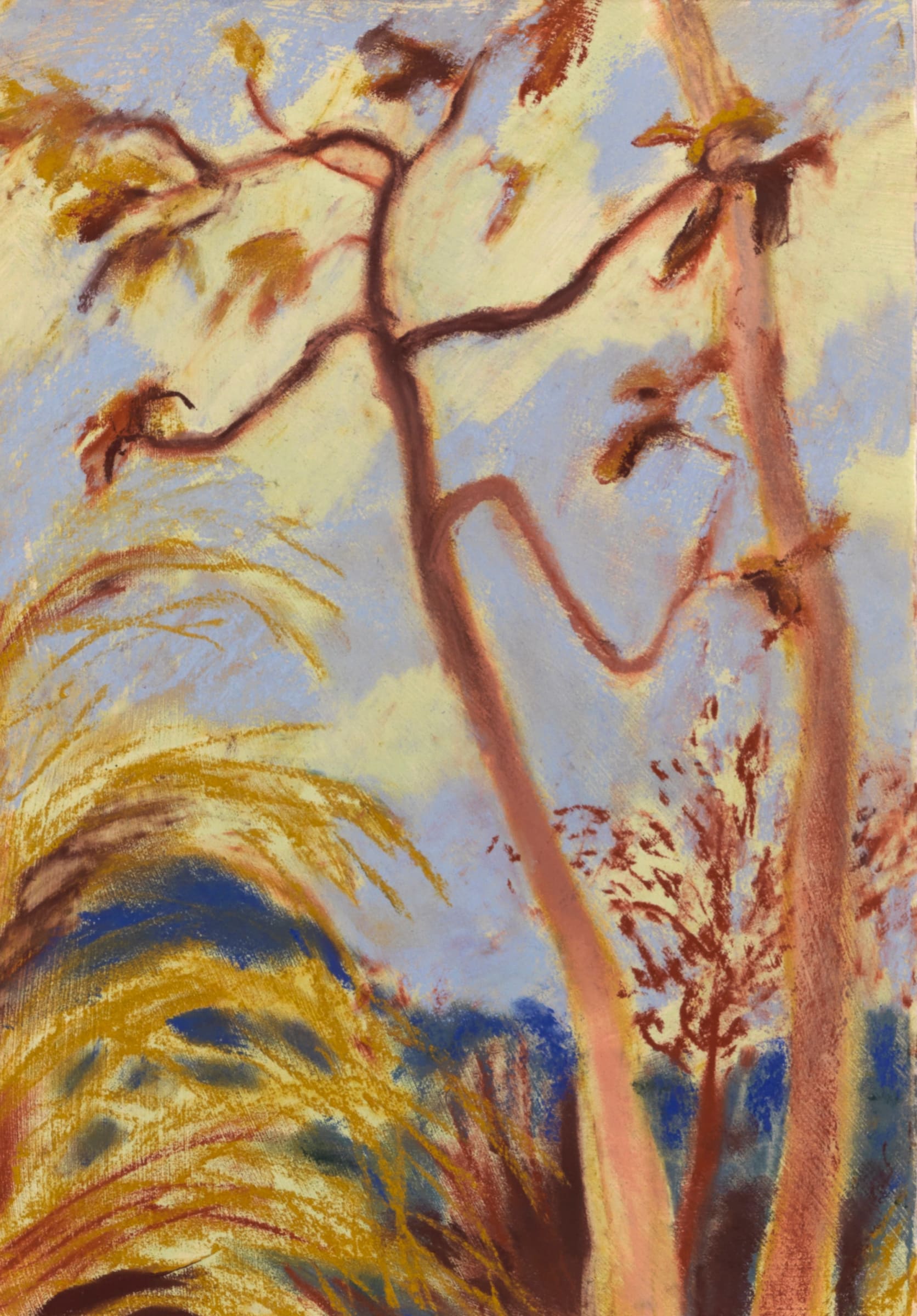 Sammi Lynch, Twisting Tree, 2025 | Annely Juda Fine Art