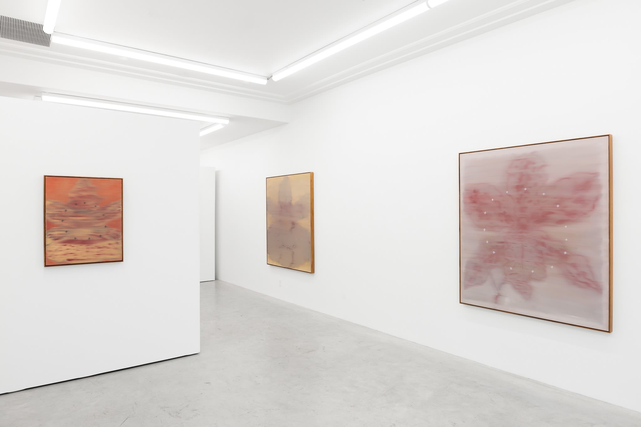 Heath Wae, Bloom IV, 2025 | ARDEN + WHITE GALLERY
