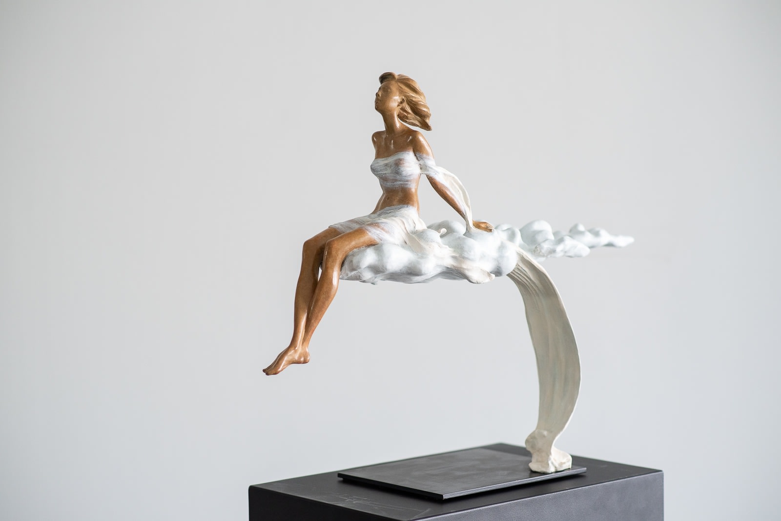 LUO LI RONG, DES RÊVES SANS FIN | Horus Gallery