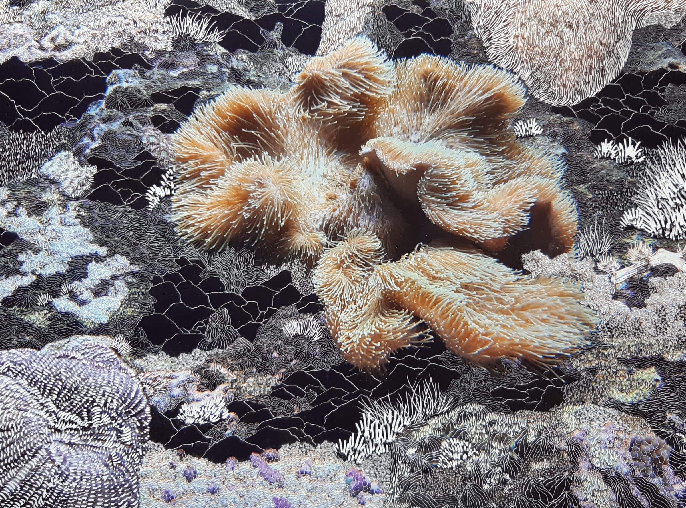 Raphaëlle PERIA, Sarcophyton, 2020 | Art for the Planet