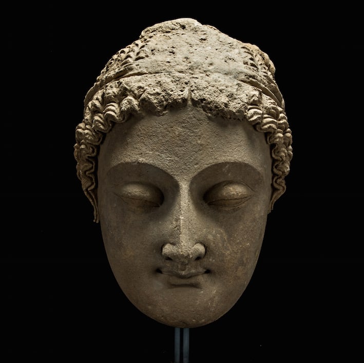 Gandharan Stucco Head of Buddha, 100 CE - 400 CE | Barakat Gallery