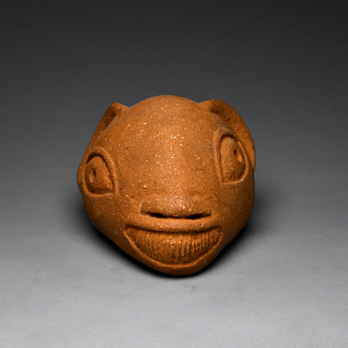 Nok Terracotta Animal Head, 500 BCE - 200 CE | Barakat Gallery
