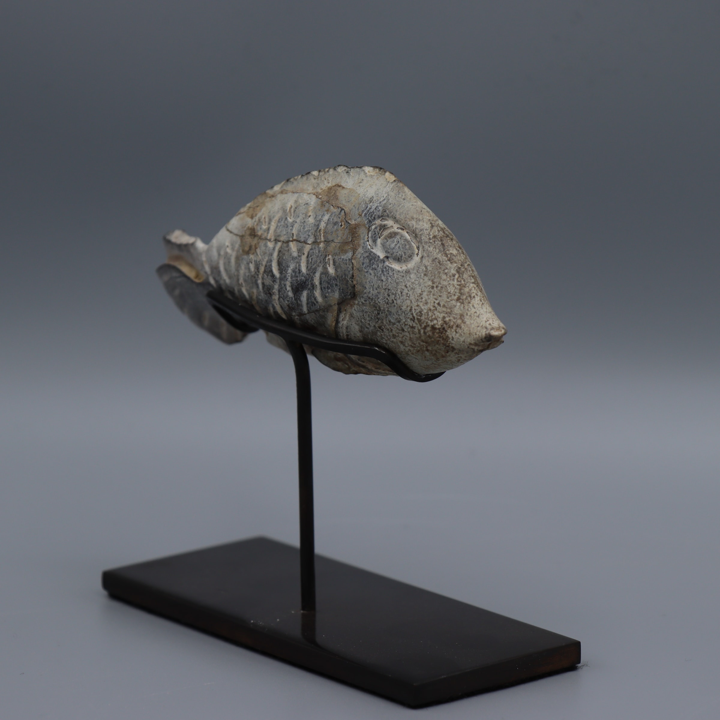 Egyptian Neolithic Sculpture of a Fish, 8000 BC - 5000 BC | Barakat Gallery