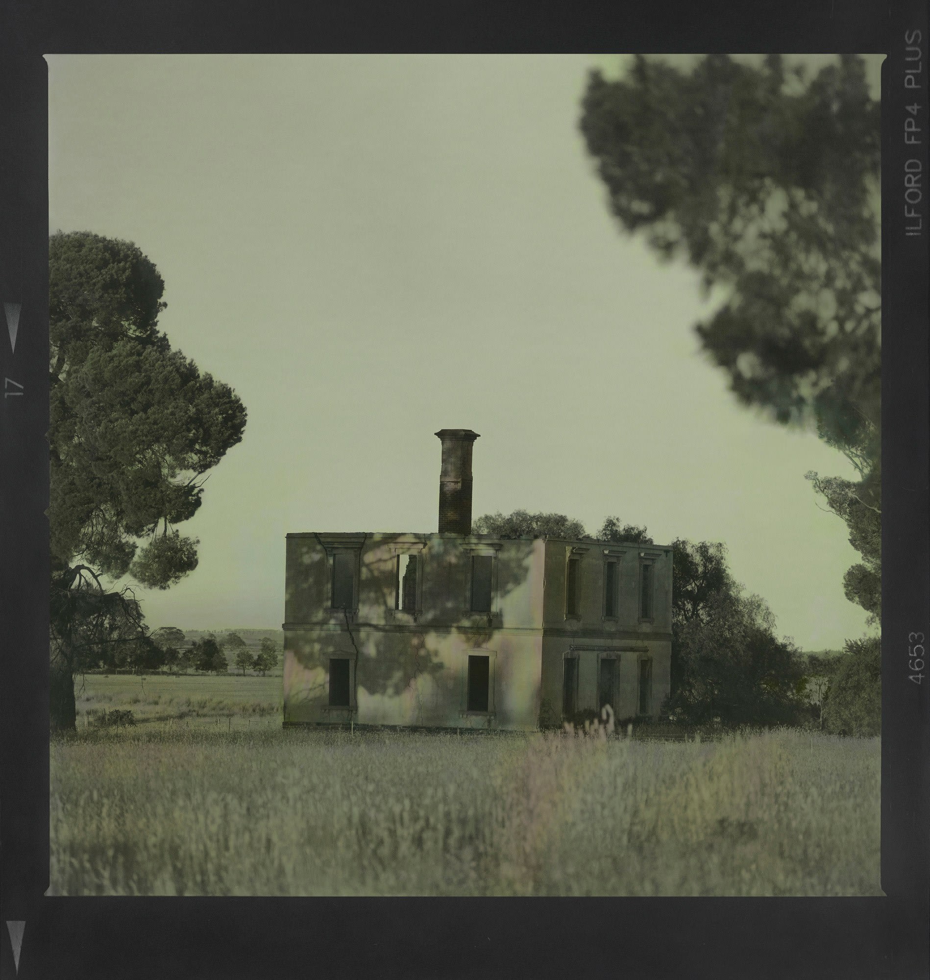 Jane Burton, Shadowlands, 2024 | Bett Gallery