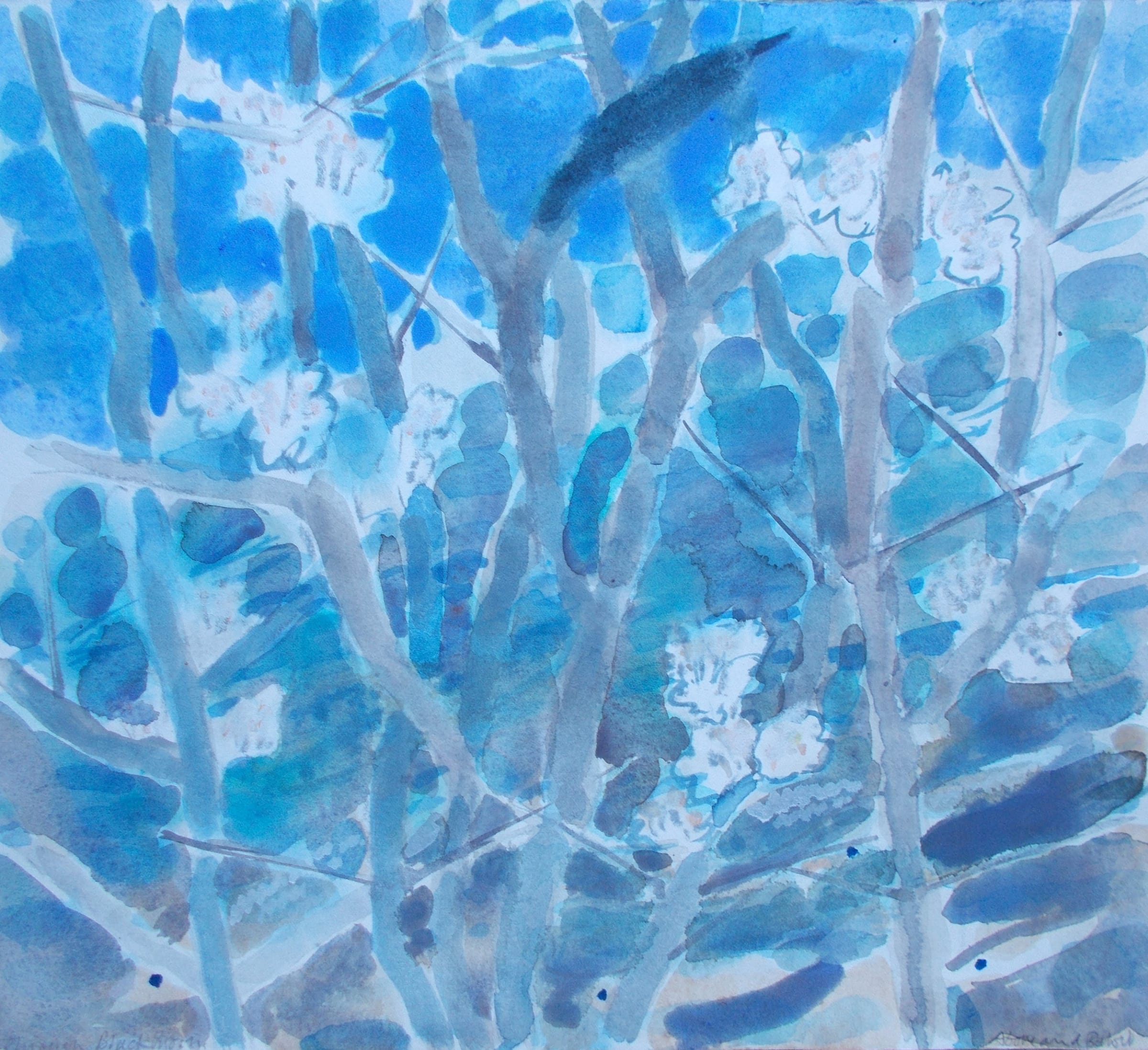 Anne Marlow RWS, Blackbird and River | Bankside Gallery