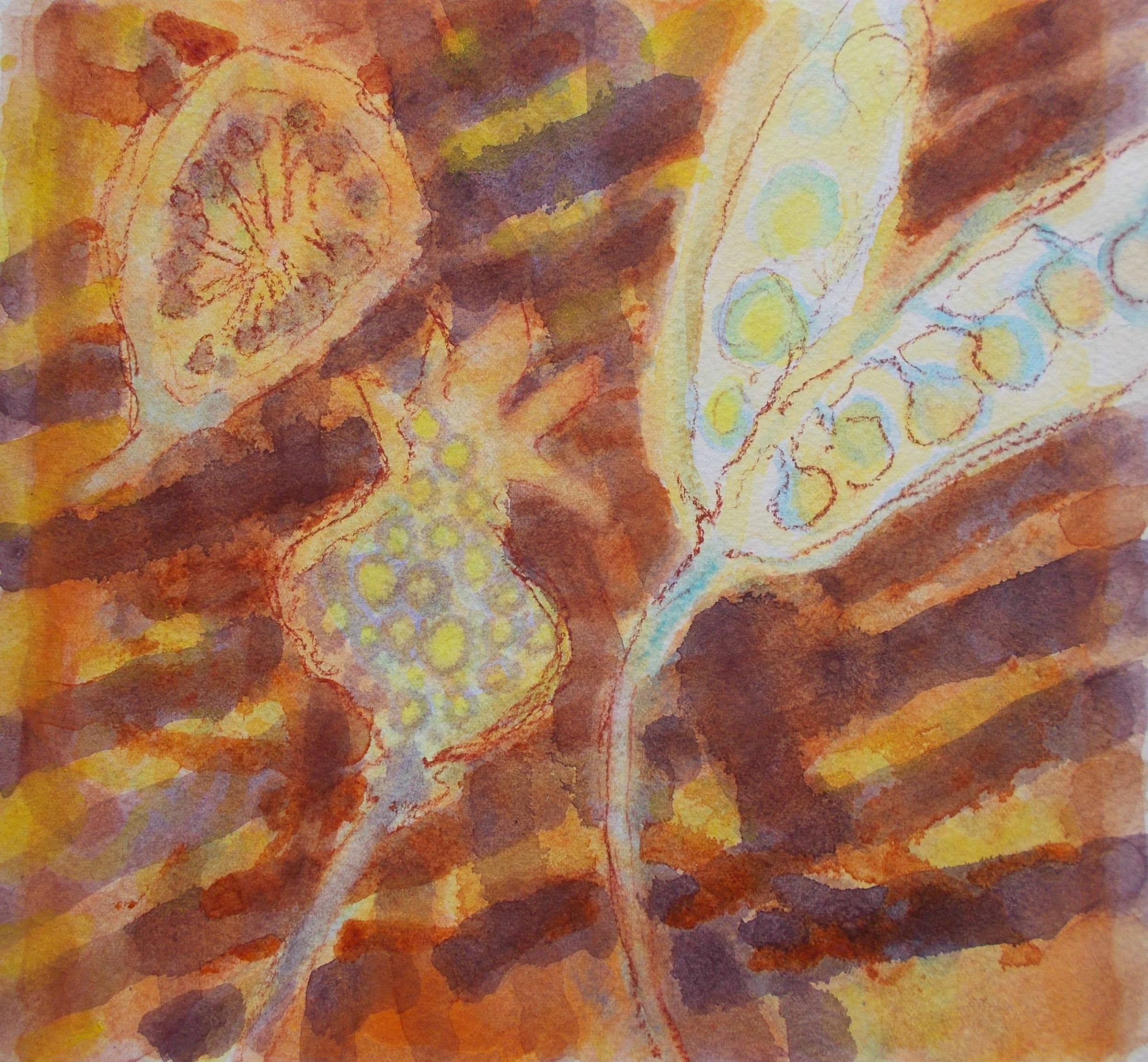 Anne Marlow RWS, Pods | Bankside Gallery