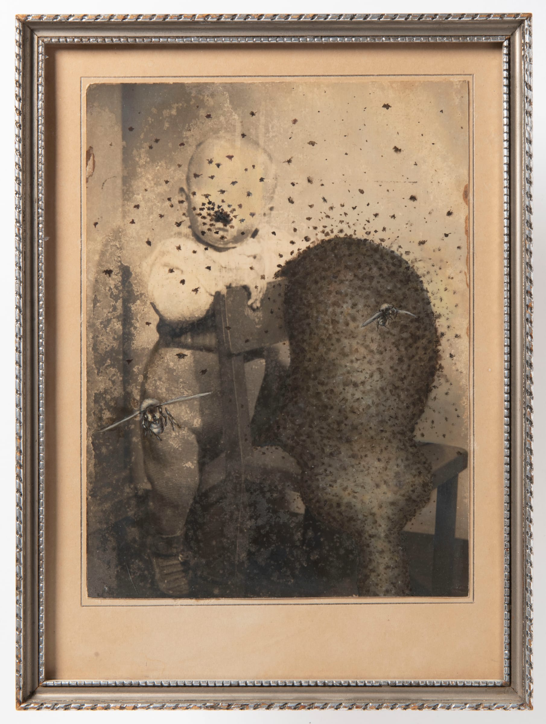 Jana Palečková, Pán much, 2022 | BOLD Gallery