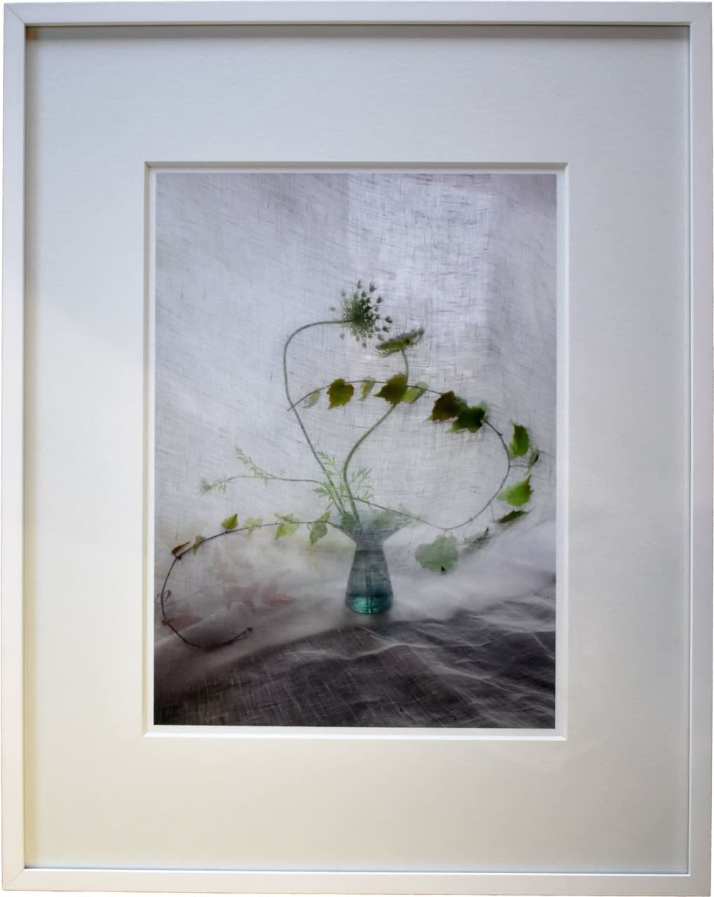 Pam Fox, Vines, 2024 | Bond Millen Gallery