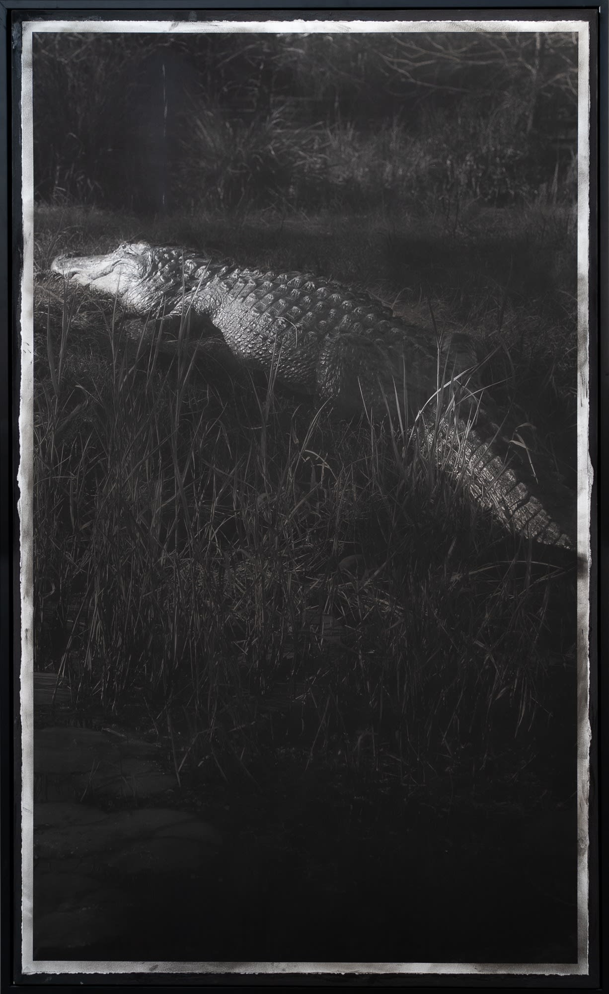 Caroline Minchew, Obadiah's Okefenokee, 2024 | Bond Millen Gallery