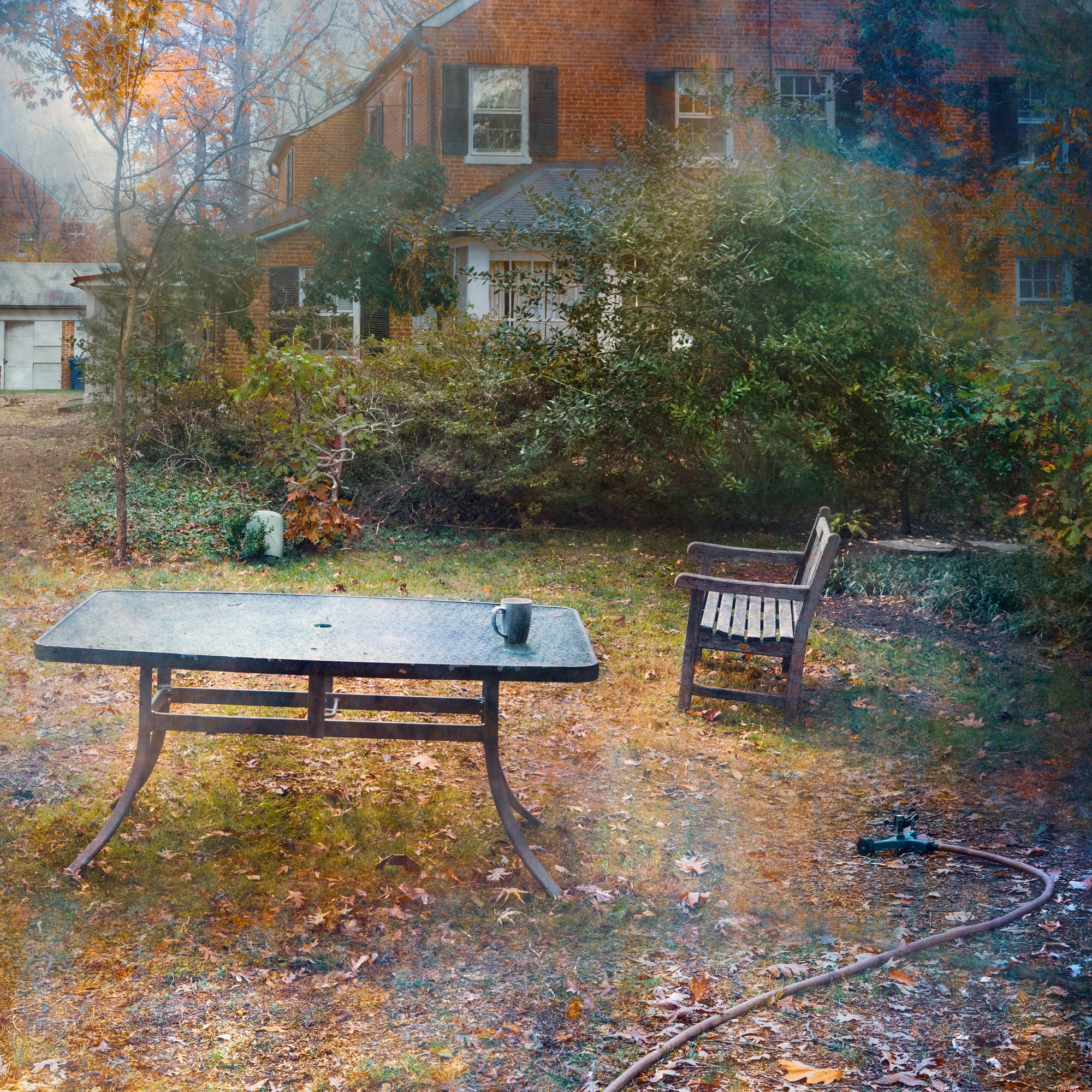 David Douglas, Study, The Secret Place, 2023 | Bond Millen Gallery