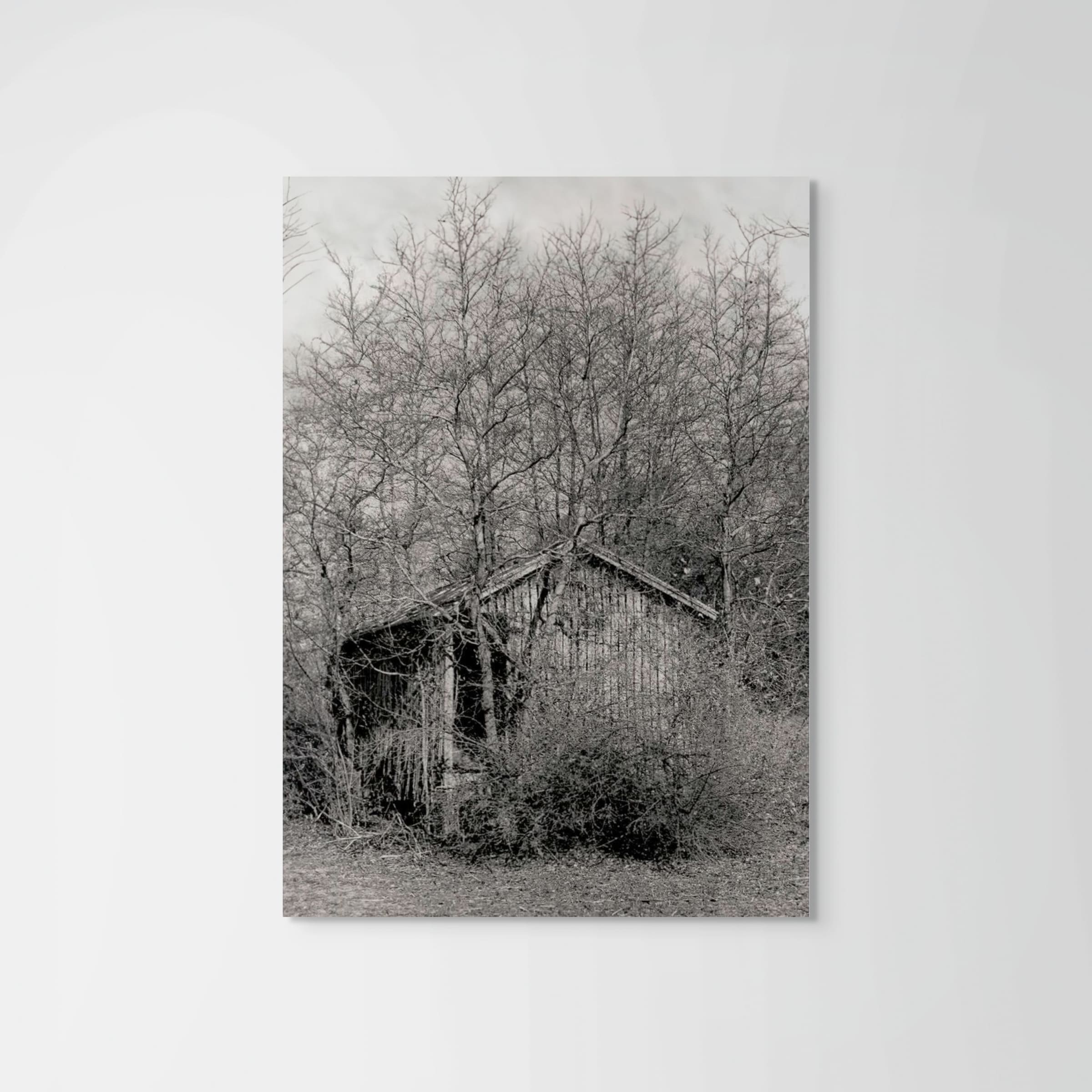 Lucy Gilbert, Locustville, Va, 2020 (35mm), 2024 | Bond Millen Gallery