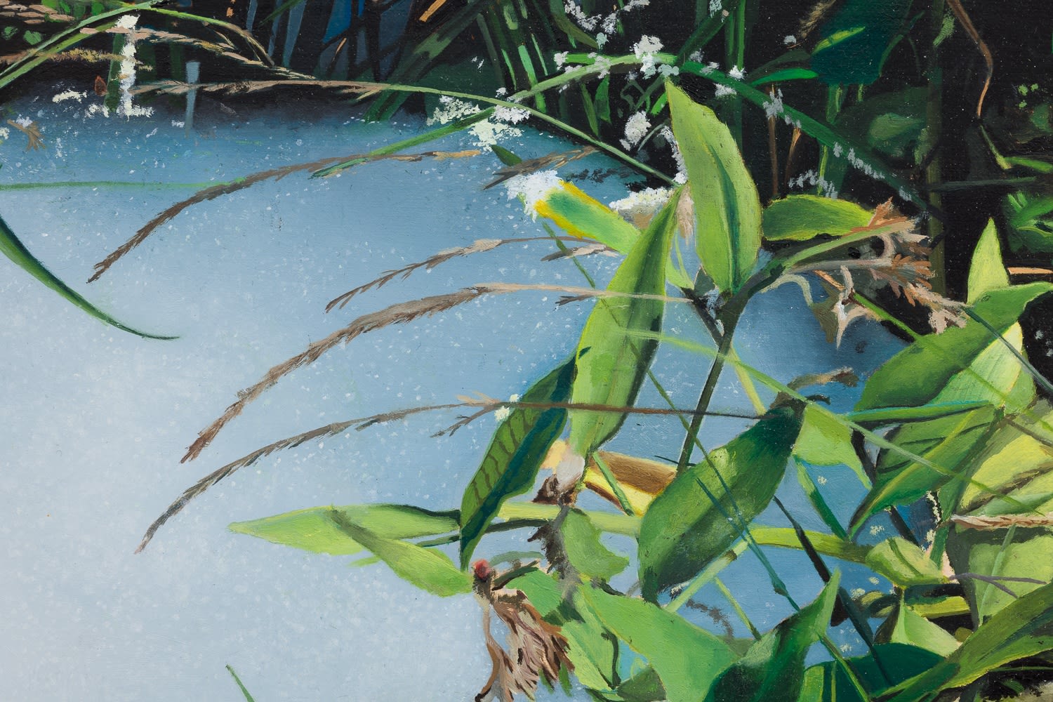 Lyle Perkins, Dobbs Weir, 2024 | Brooke Benington