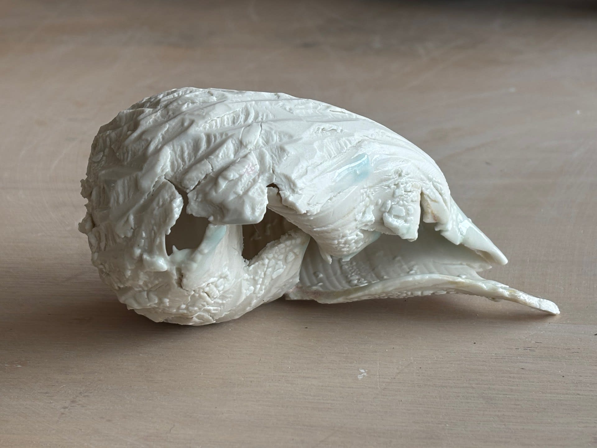 Nancy Main, Fallen 1, 2025 | Contemporary Applied Arts