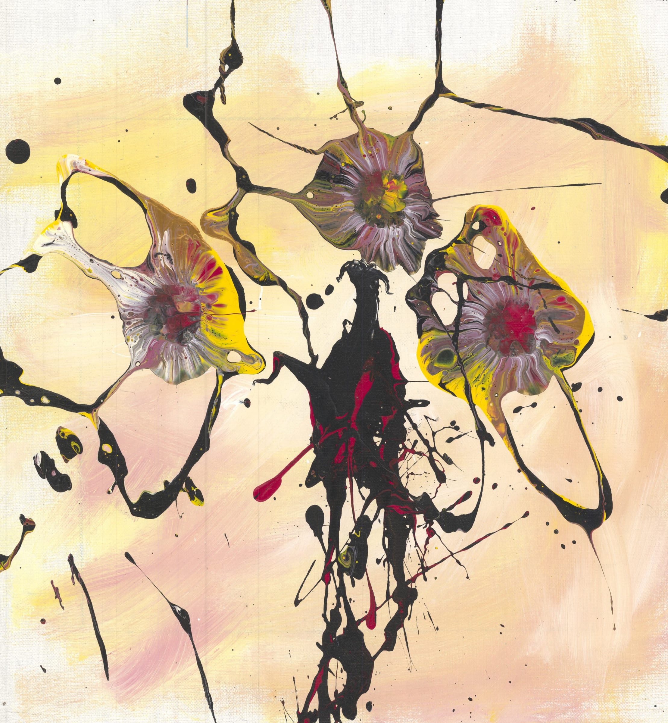 Rowdy Warren, Wild Flowers, 2024 | Canberra Art Gallery