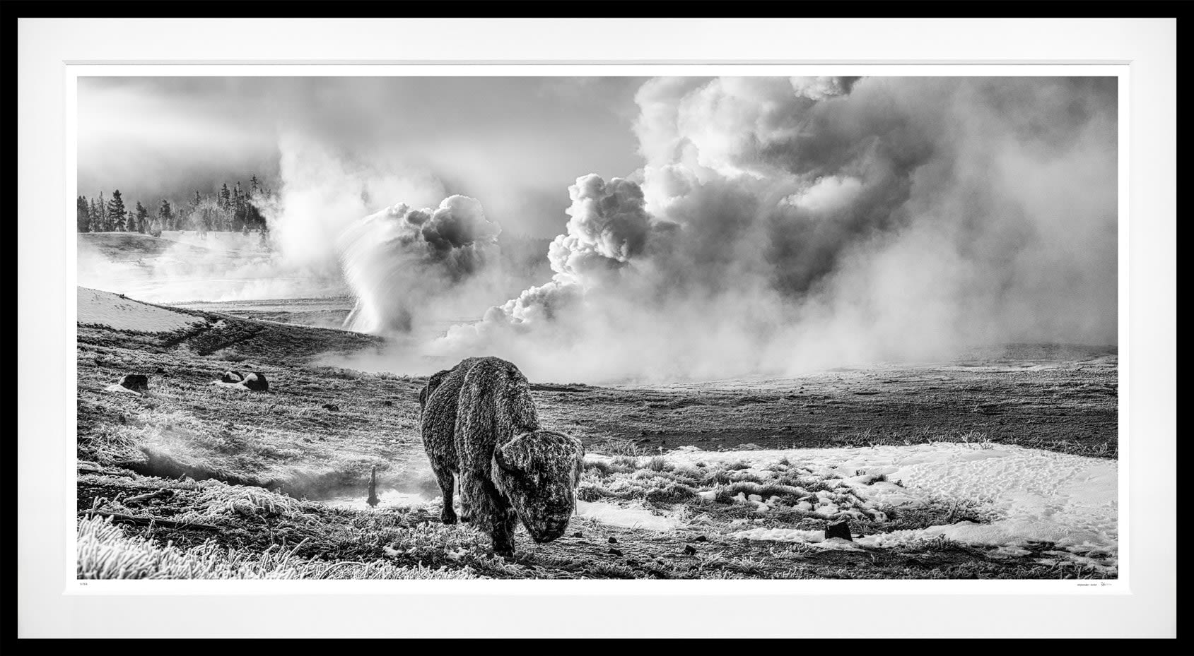 David Yarrow, In the Beginning, 2026 | Casterline|Goodman Gallery