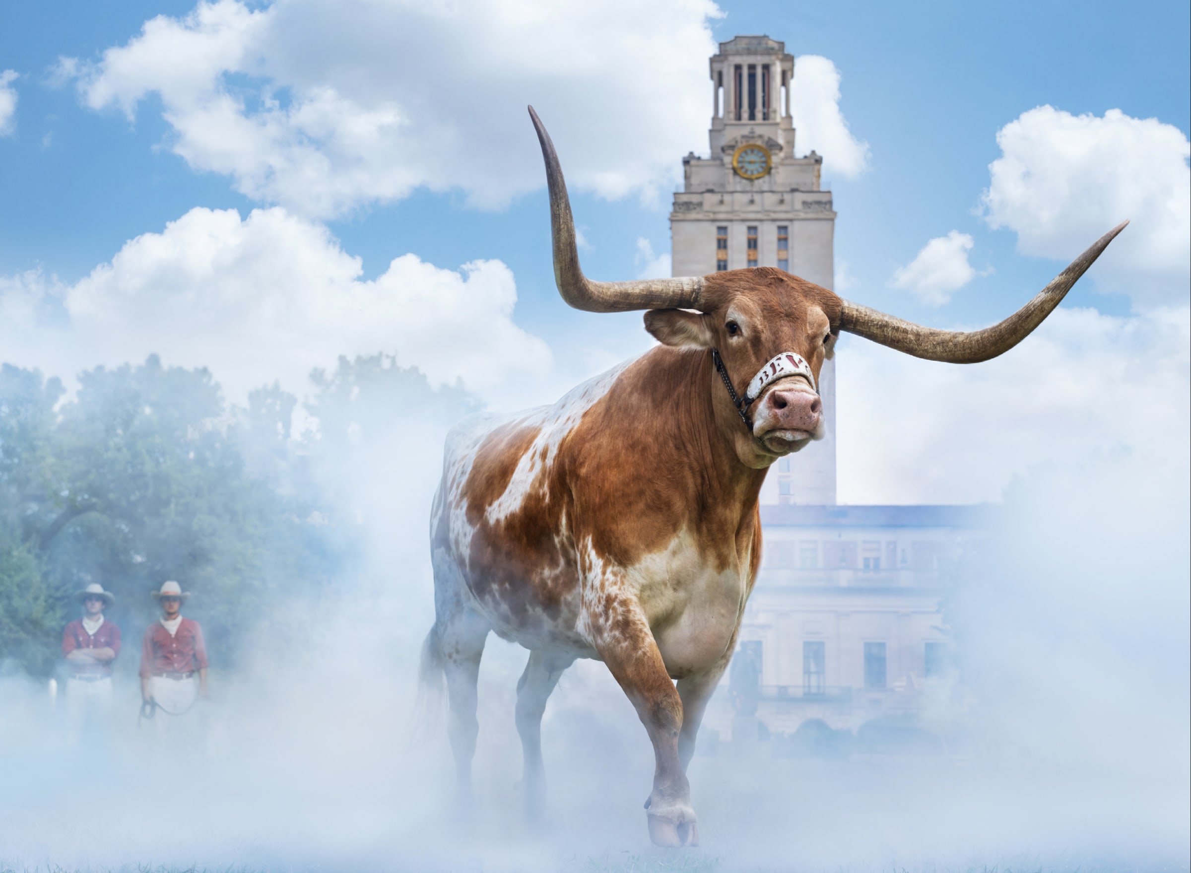 David Yarrow, Hook 'em Horns (Color), 2024 | Casterline|Goodman Gallery