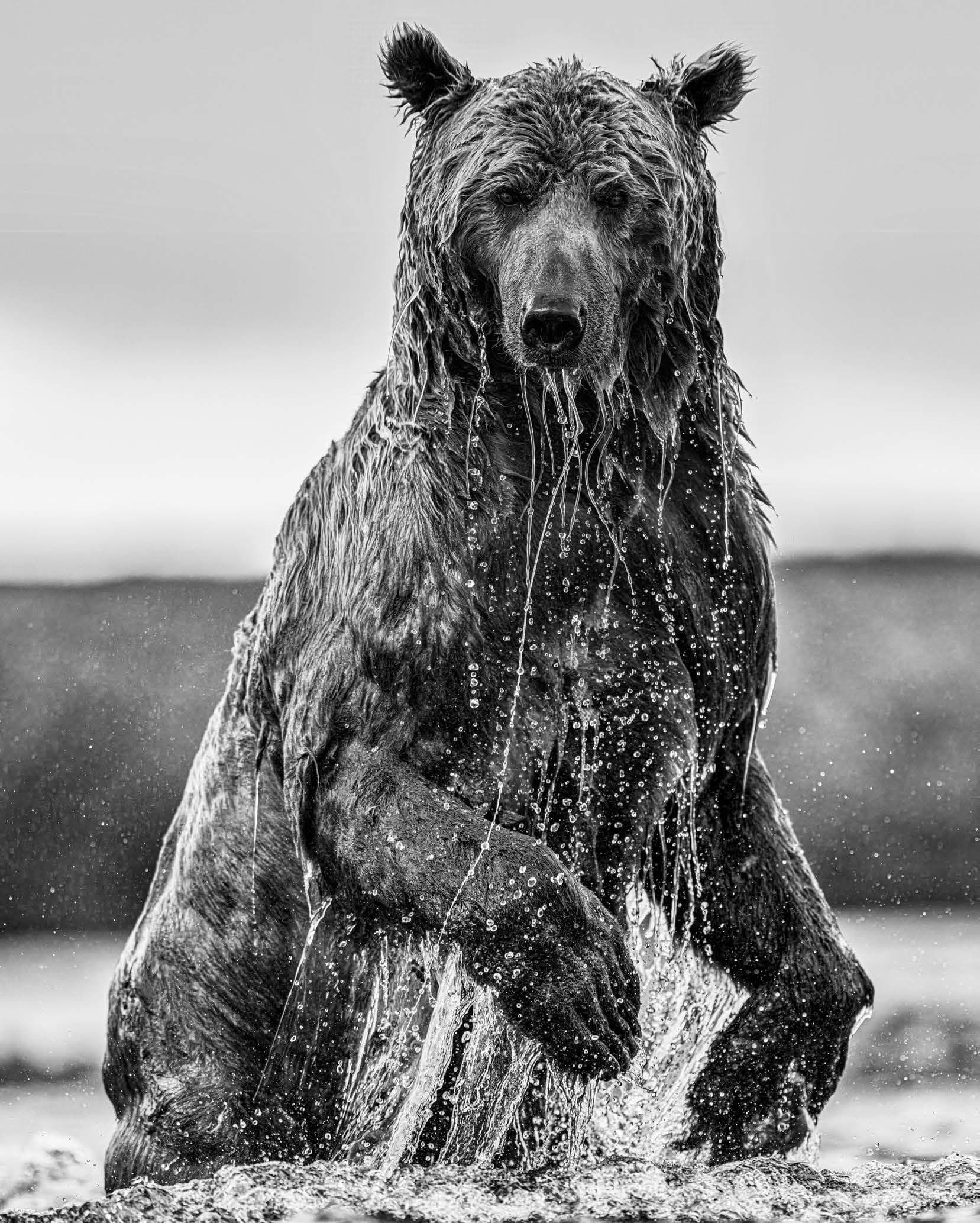 David Yarrow, Backcountry, 2025 | Casterline|Goodman Gallery