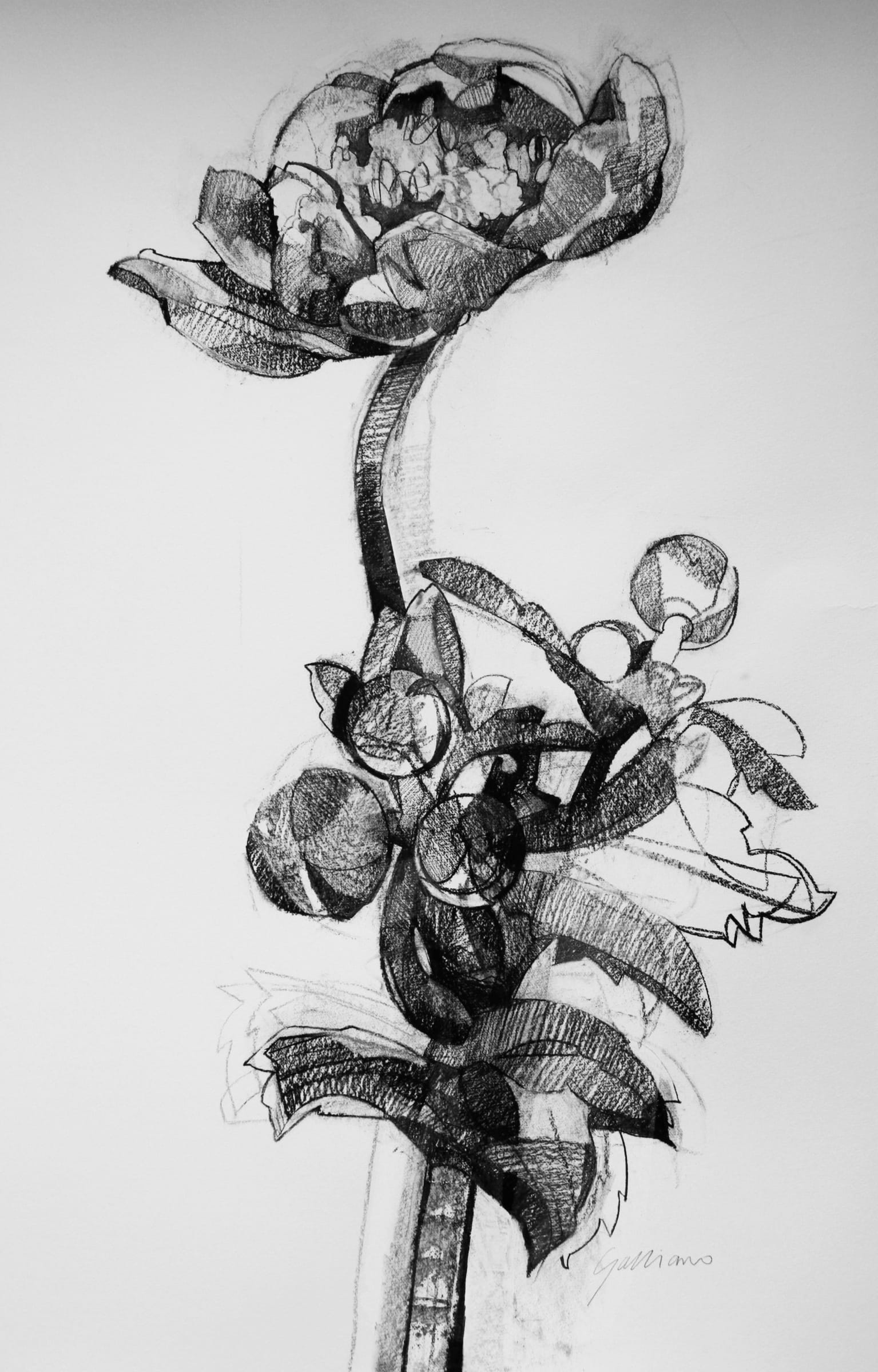 Clarissa Galliano, Japanese Anemone, 2024 | Celf Gallery
