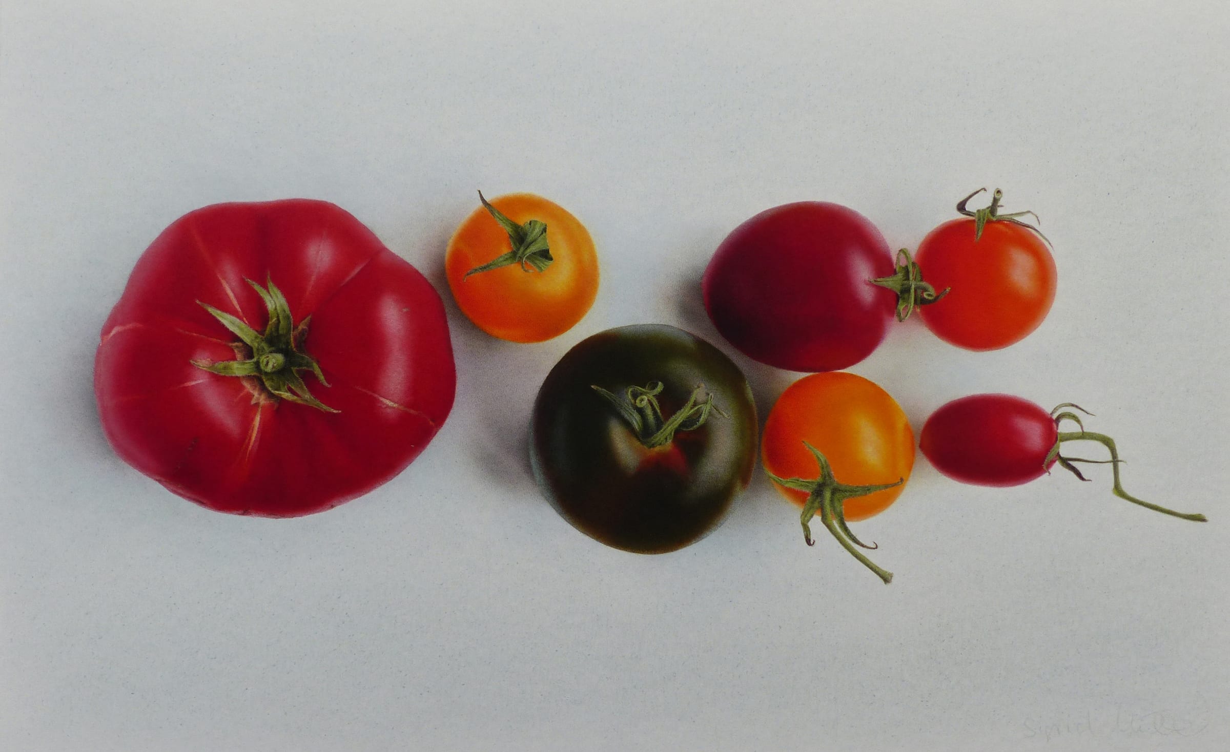 Sigrid Muller, Heritage Tomatoes, 2023 | Celf Gallery